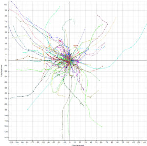 2D Automated Analysis | Image-Pro | Media Cybernetics