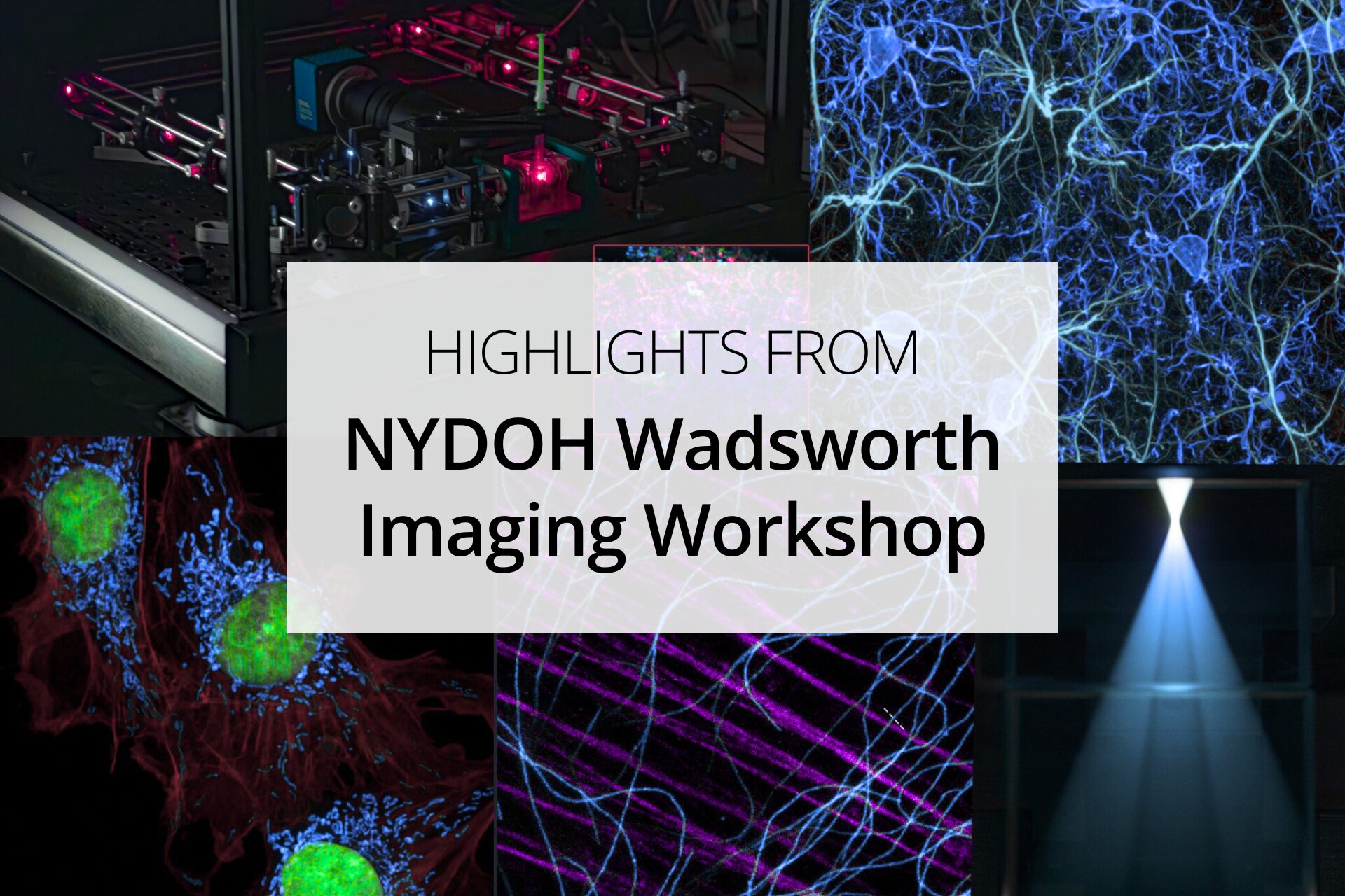 NYSDOH Imaging Workshop: Deconvolution to Deep Learning